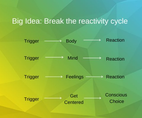 Conflict Coaching | Solutions Through Dialogue | Reactivity Cycle